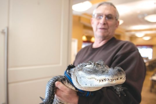 There’s A Growing Array Of Emotional Support Animals - GeoZoo.org