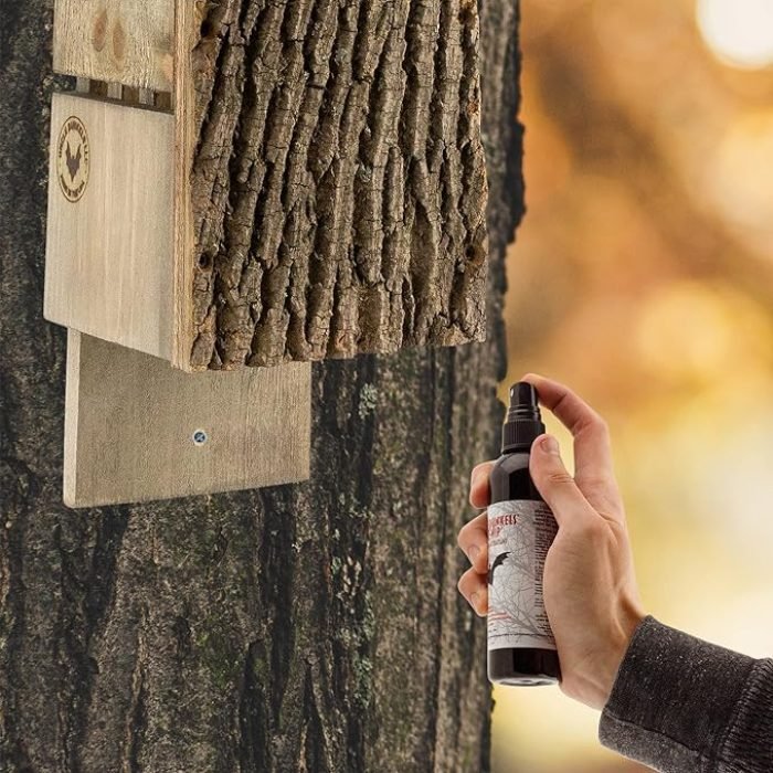 Can You Have Bats as Pets? The Pros and Cons of Owning One